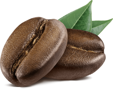 En 2023, CAFIVER refrendará su posición como la industrializadora de ...