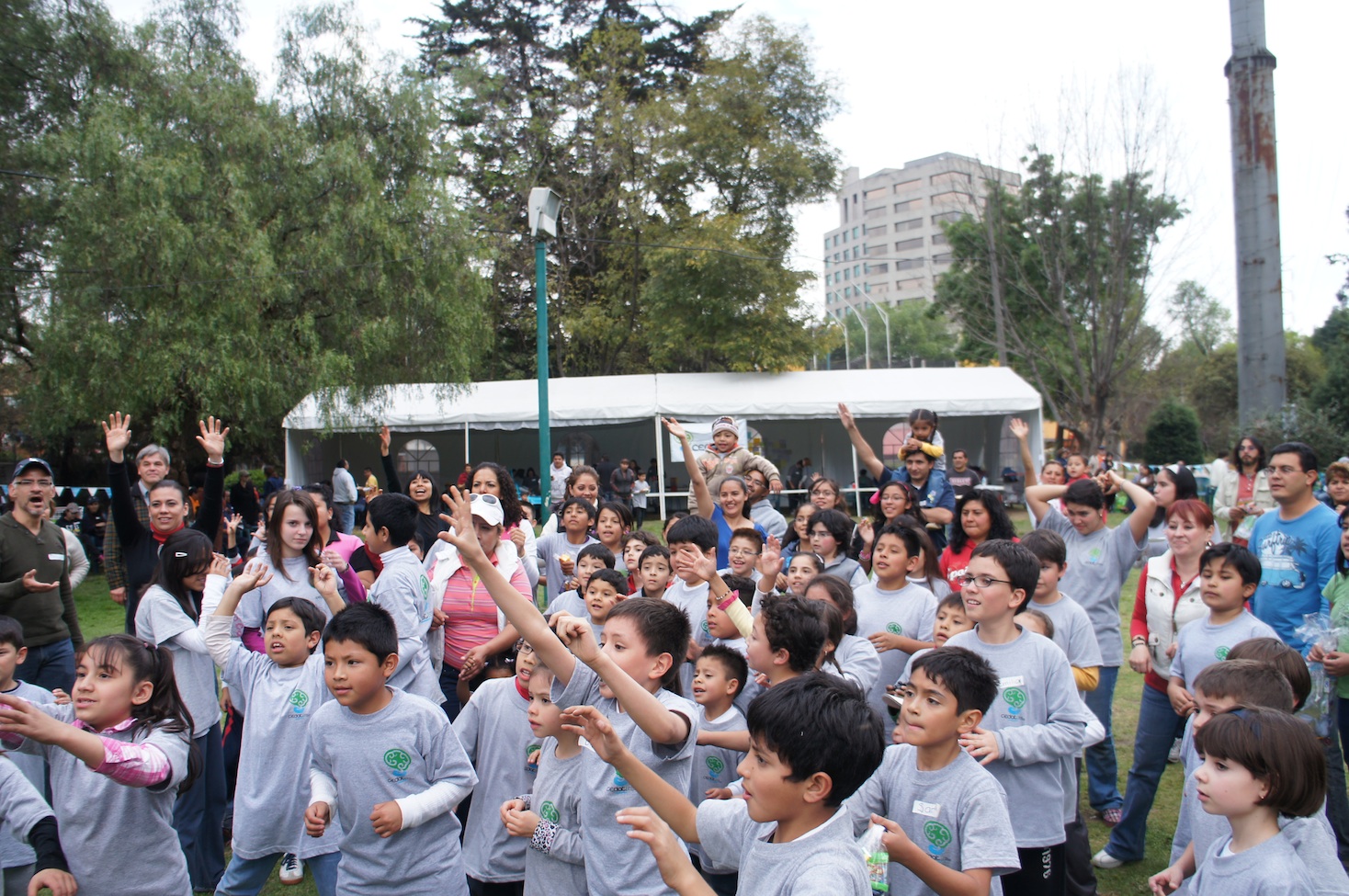 CEDAT Superdotación infantil – Más que RP